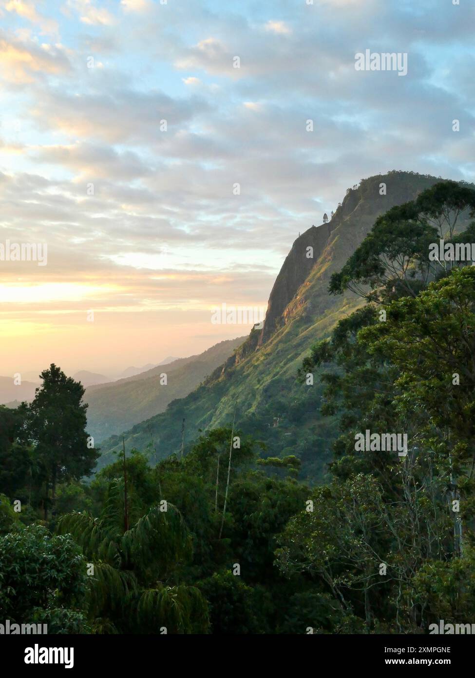 An image of Ella Rock in Ella, Sri Lanka covered in golden light at ...