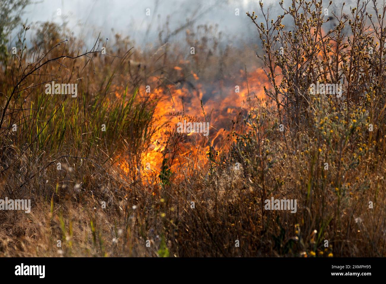 Forest and steppe fires dry completely destroy the fields and steppes ...