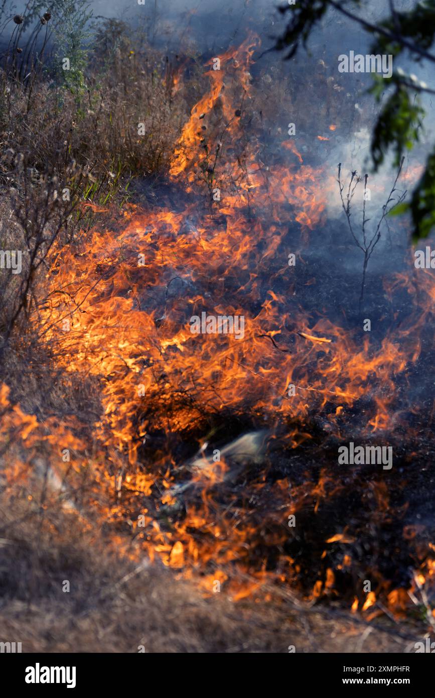 Forest and steppe fires dry completely destroy the fields and steppes ...