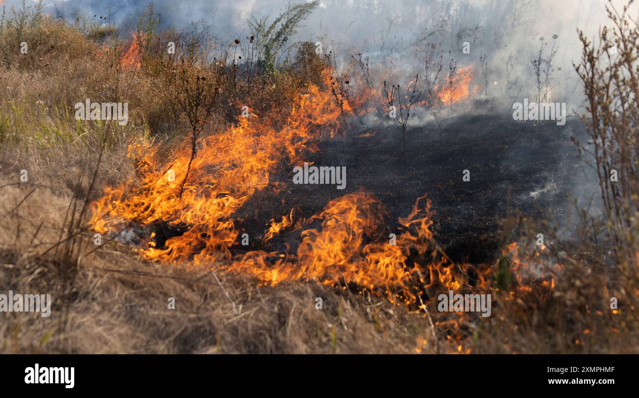 Forest and steppe fires dry completely destroy the fields and steppes ...