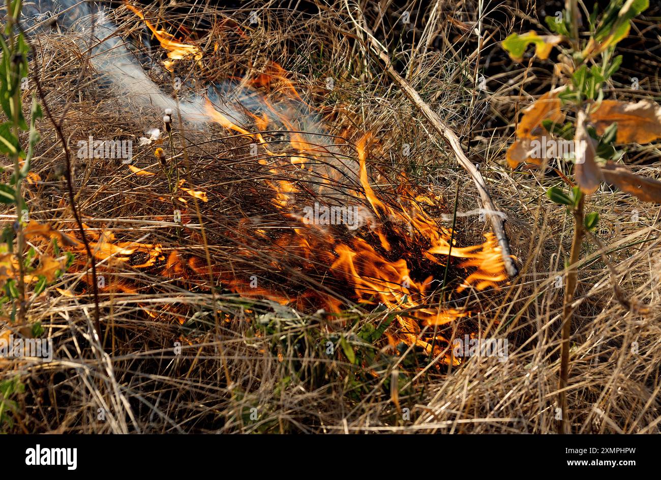 Forest and steppe fires dry completely destroy the fields and steppes ...