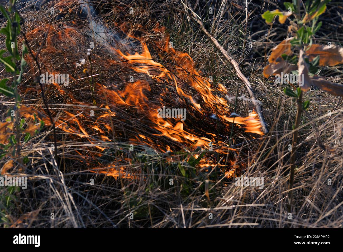 Forest and steppe fires dry completely destroy the fields and steppes ...