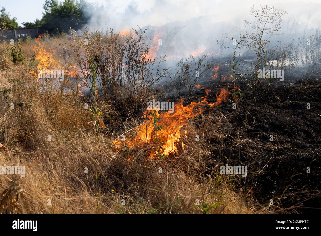 Forest and steppe fires dry completely destroy the fields and steppes ...
