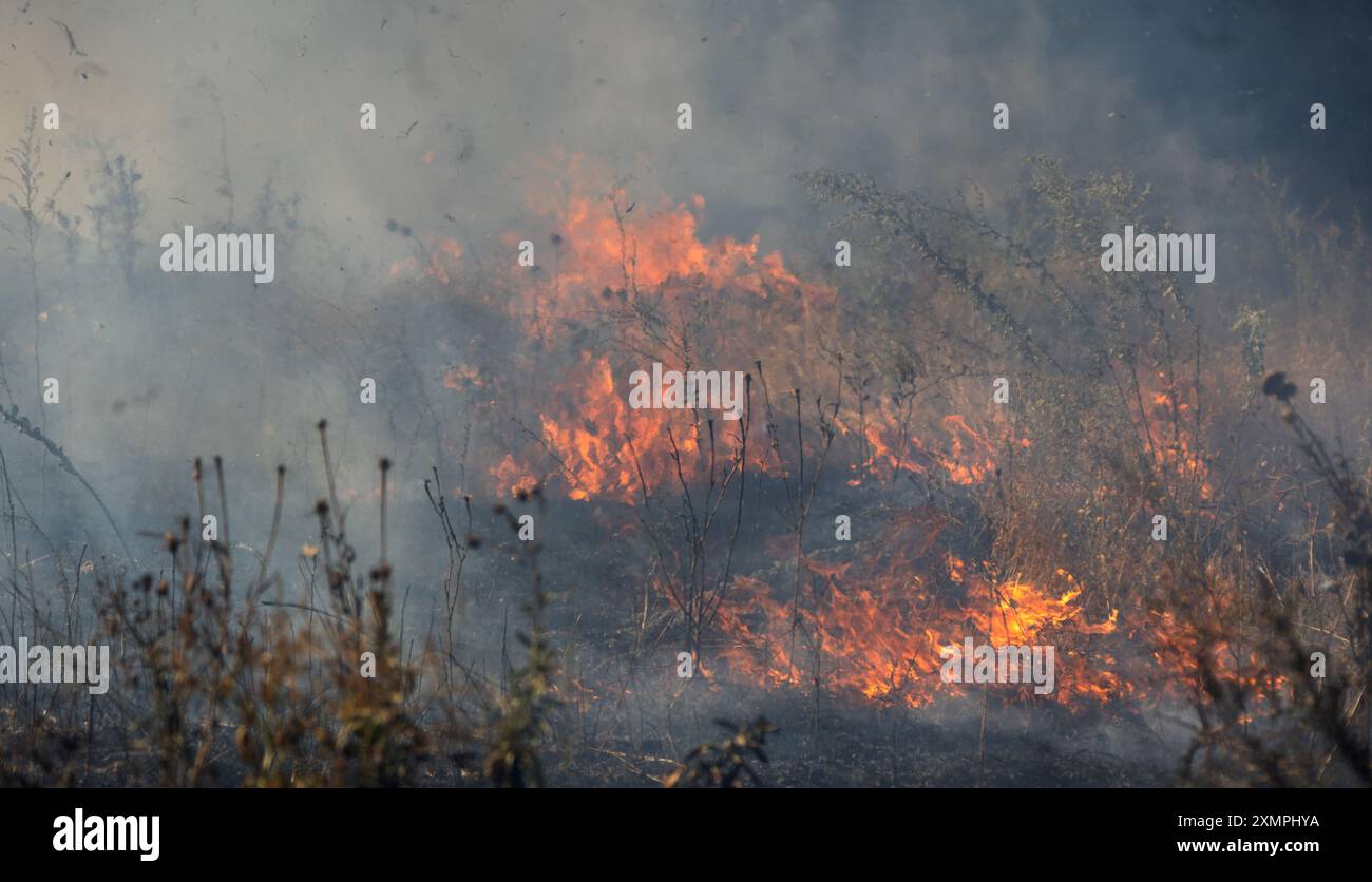 Forest and steppe fires dry completely destroy the fields and steppes ...