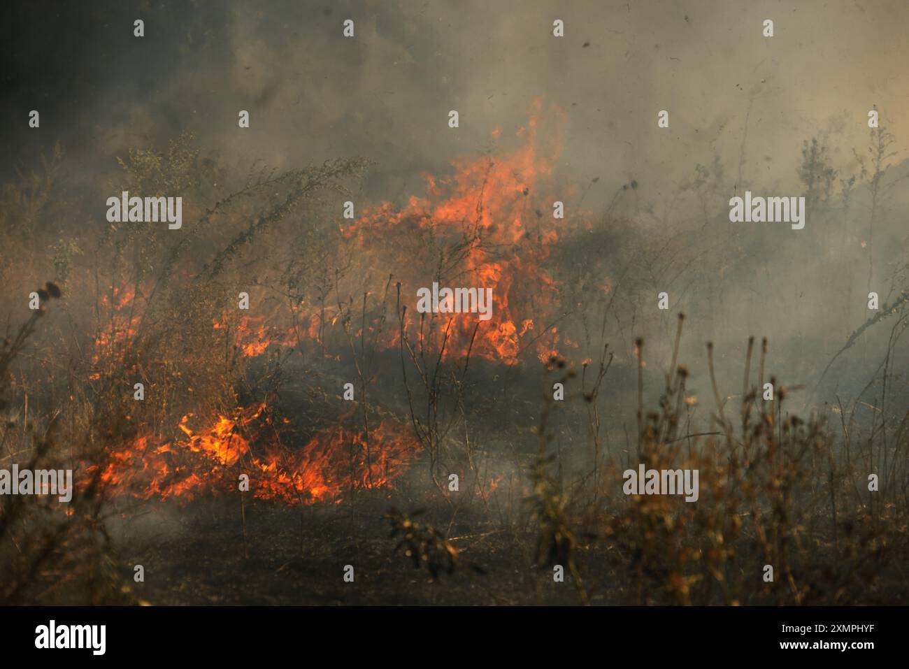 Forest and steppe fires dry completely destroy the fields and steppes ...