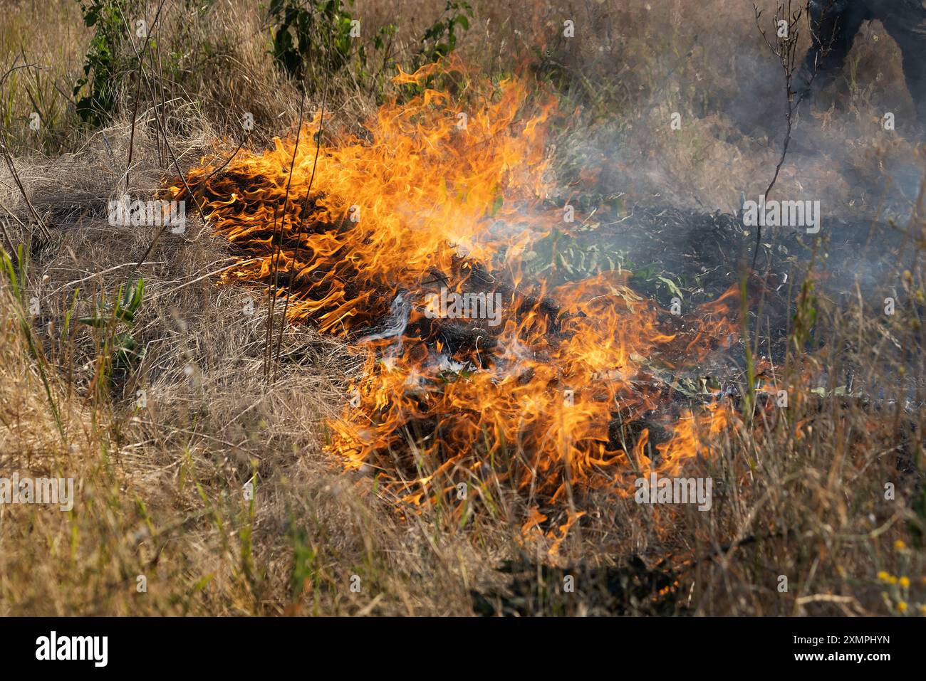 Forest and steppe fires dry completely destroy the fields and steppes ...