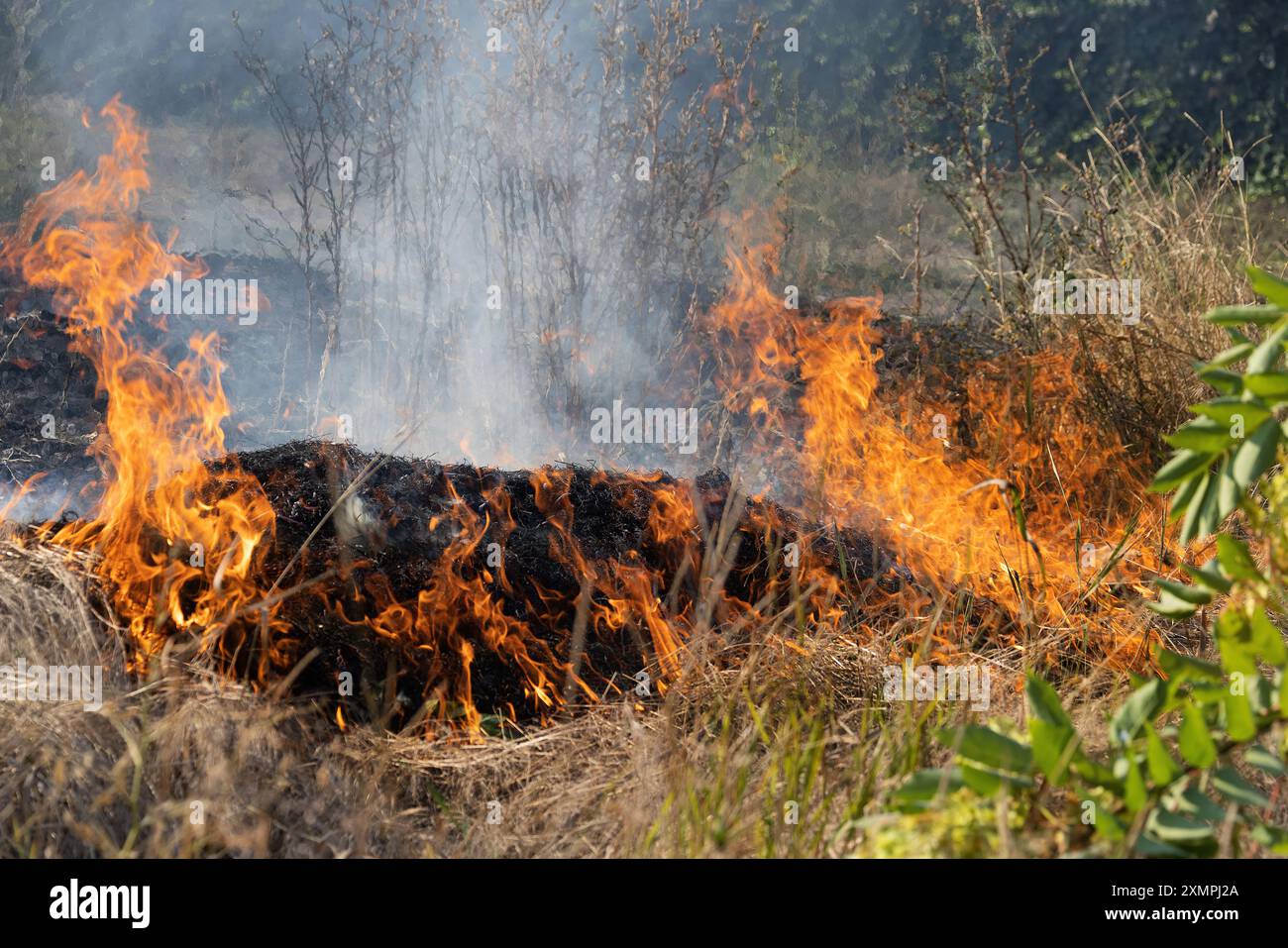 Forest and steppe fires dry completely destroy the fields and steppes ...