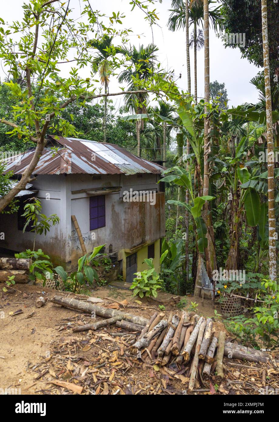 Khasi tribe in bangladesh hi-res stock photography and images - Alamy