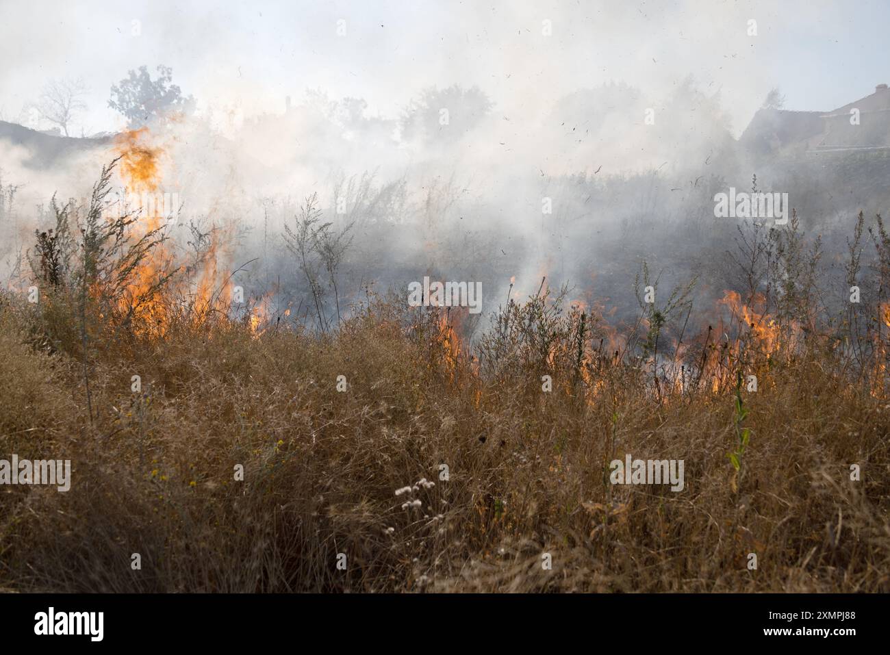 Forest and steppe fires dry completely destroy the fields and steppes ...