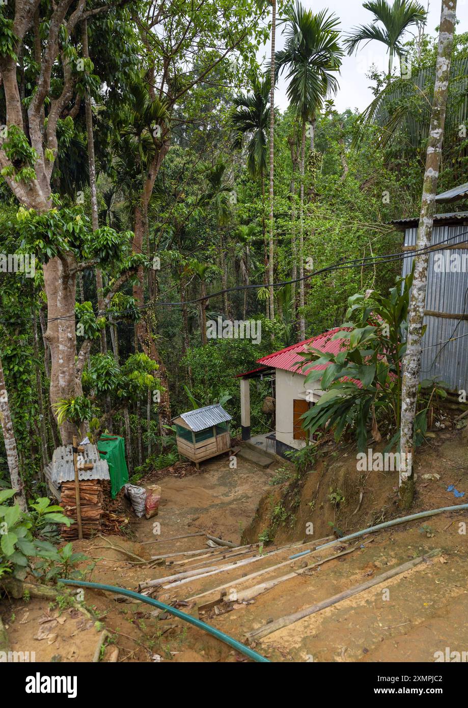 Village house in bangladesh hi-res stock photography and images - Alamy