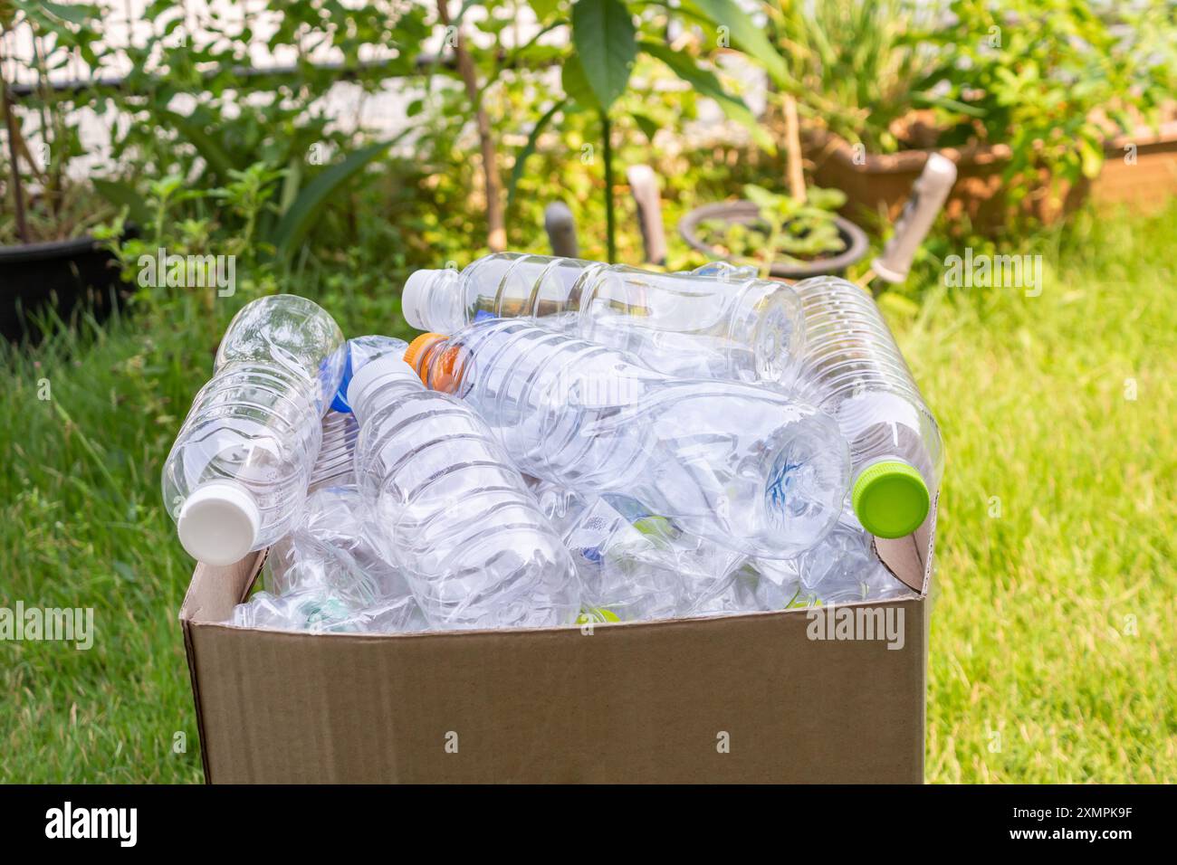 plastic bottles in brown recycle garbage box Stock Photo - Alamy