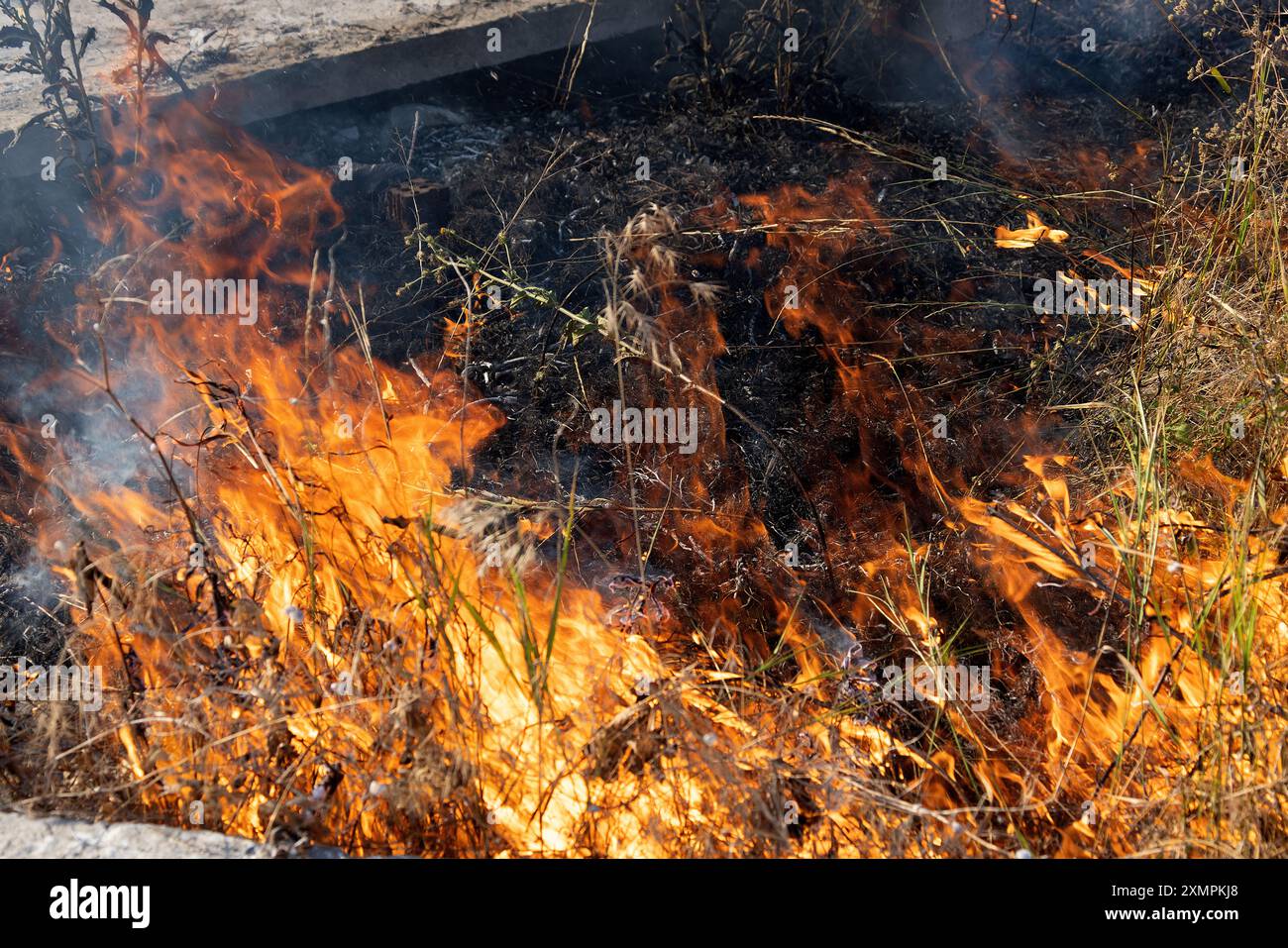 Forest and steppe fires dry completely destroy the fields and steppes ...