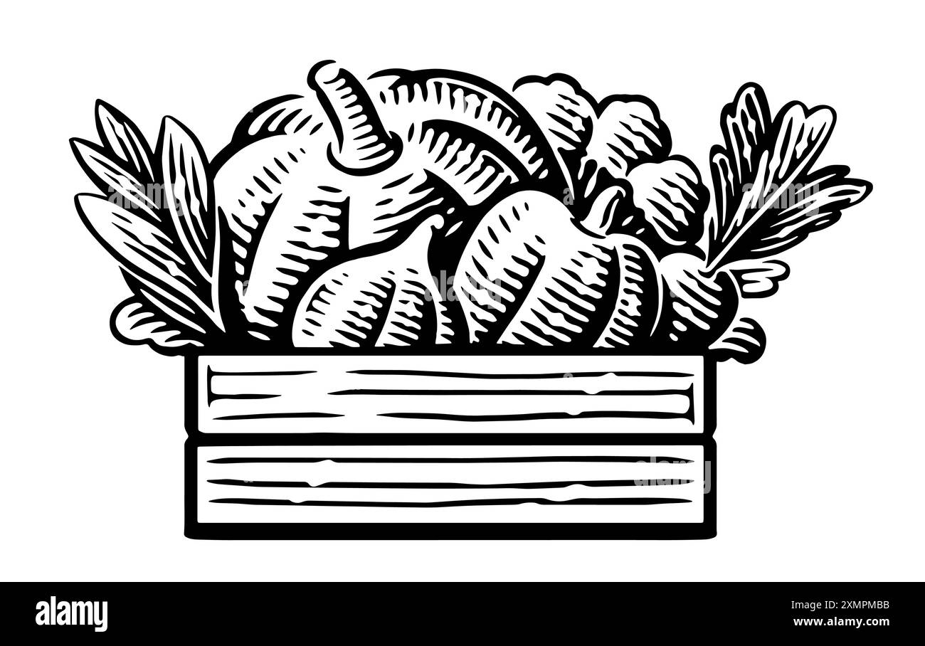 Organic vegetables in wooden crate. Fresh farm products. Healthy vegan food vector illustration ...
