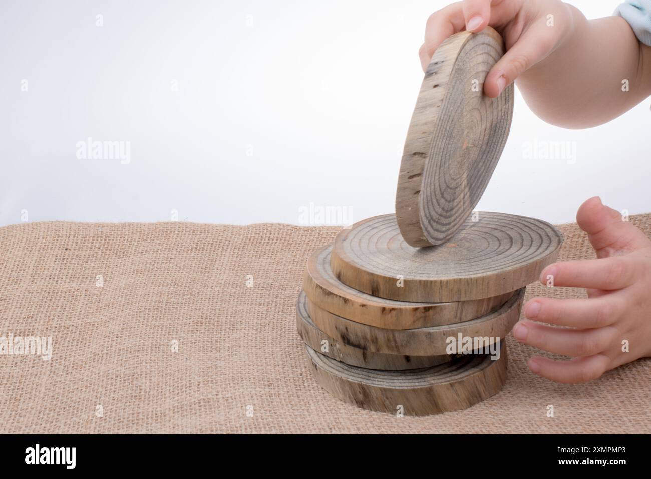 Wood Log cut in round thin pieces in hand Stock Photo - Alamy