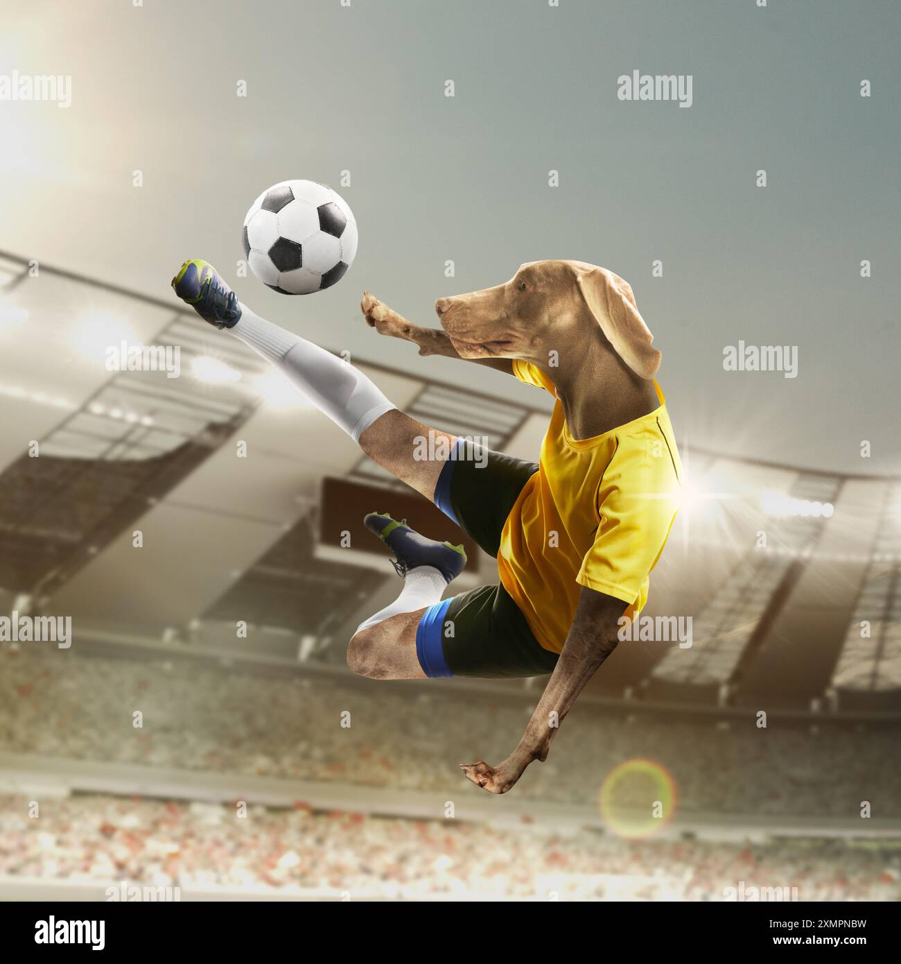 Dog-headed athlete in yellow jersey, soccer player in motion with ball ...