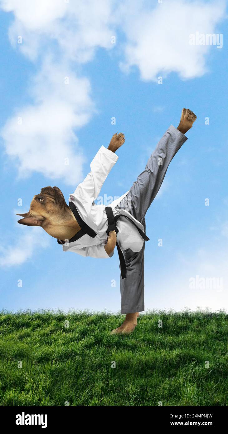 Dog stances hi-res stock photography and images - Alamy
