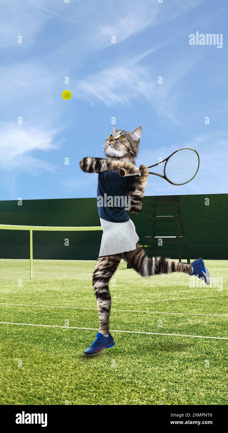 Cat in human body, tennis player in motion on open air court, hitting ...