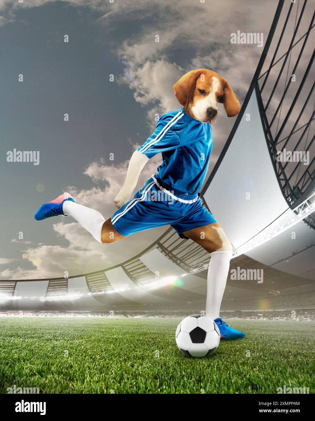 Dog-headed athlete in blue jersey, soccer player in motion with ball ...