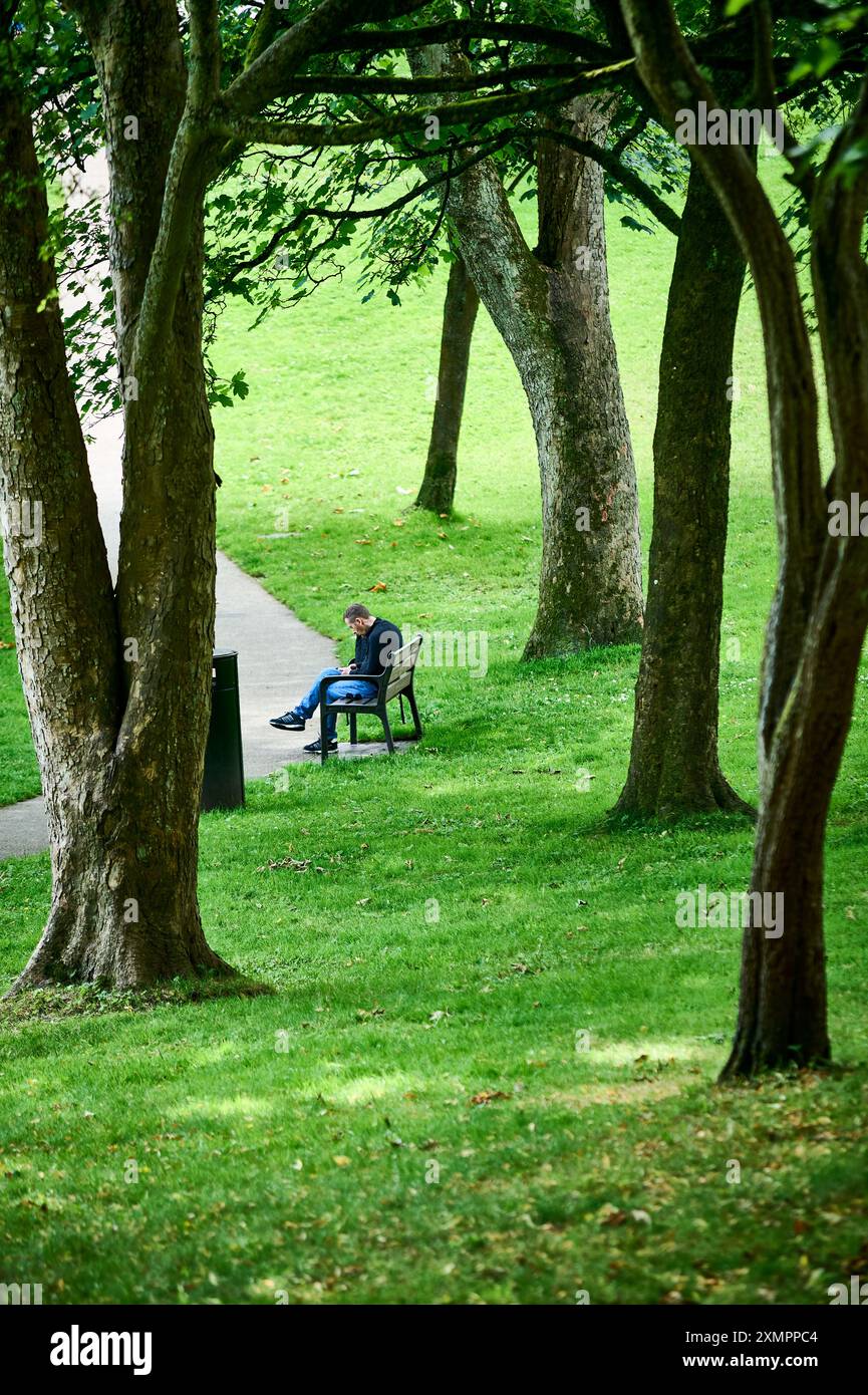 Man sat on bench in public park surrounded by trees,UK Stock Photo - Alamy