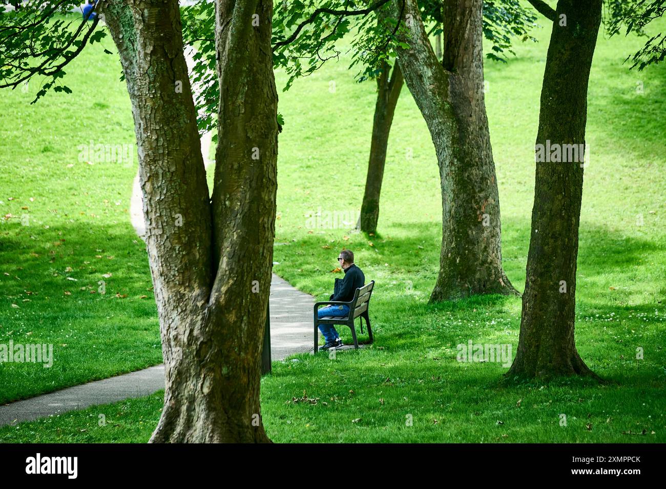 Man sat on bench in hi-res stock photography and images - Alamy
