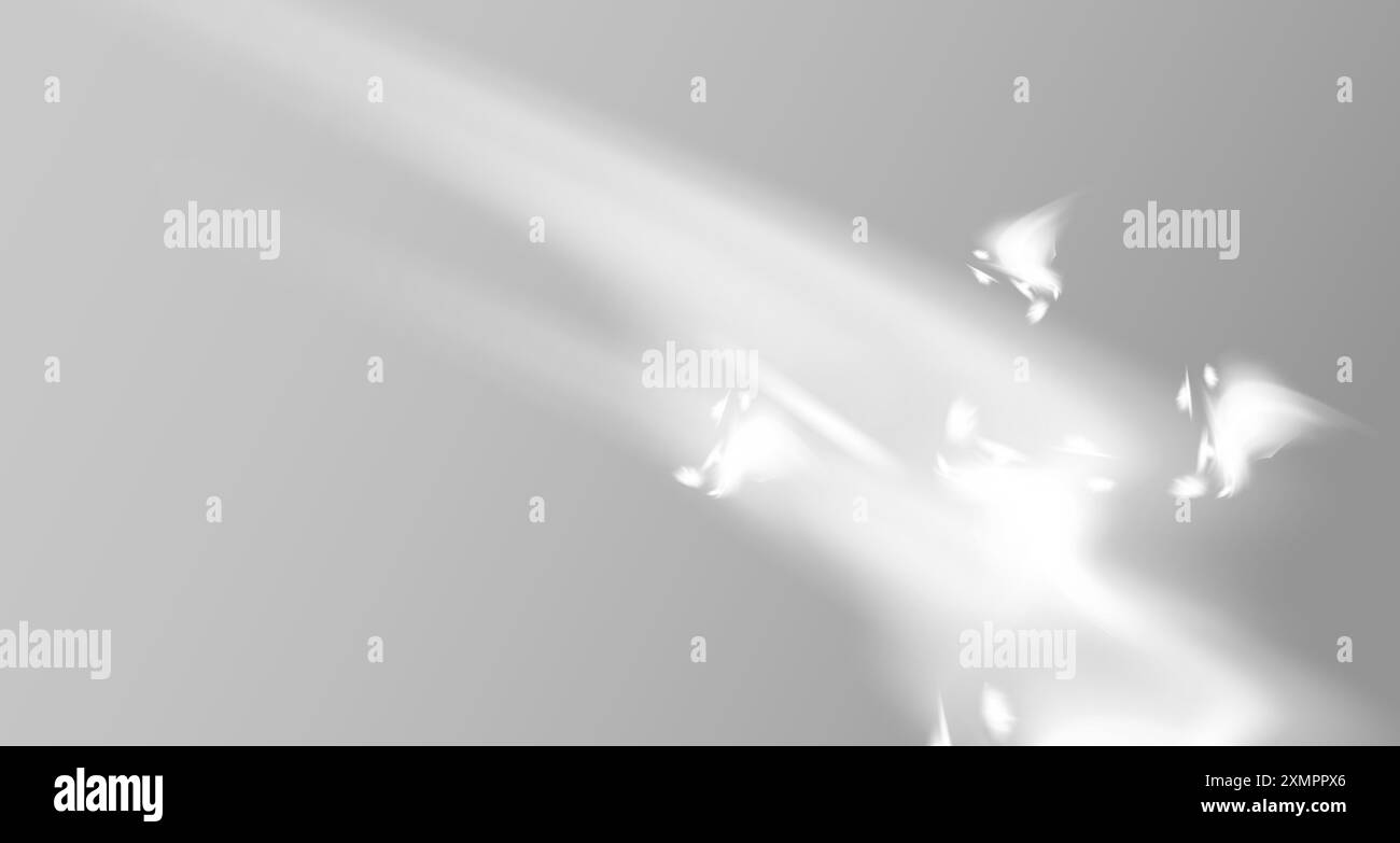 Soft overlay of natural light. Abstract background for product ...