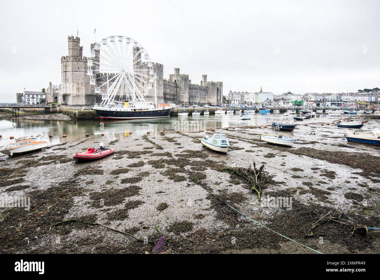 Best things to see in caernarfon hi-res stock photography and images ...