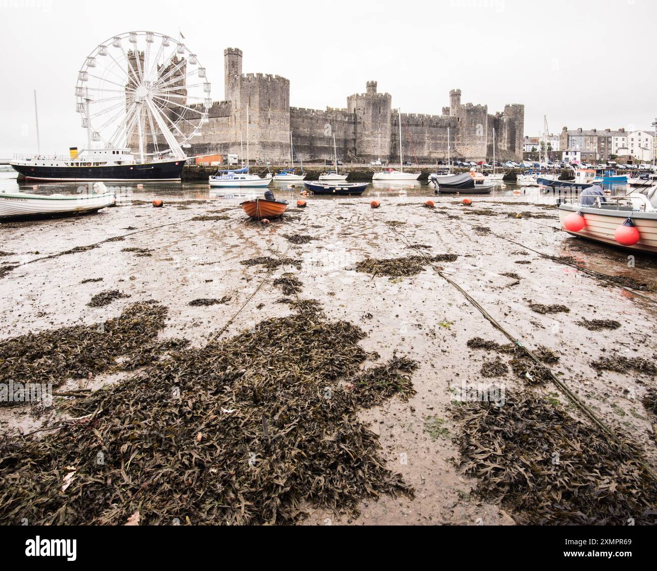 Best things to see in caernarfon hi-res stock photography and images ...