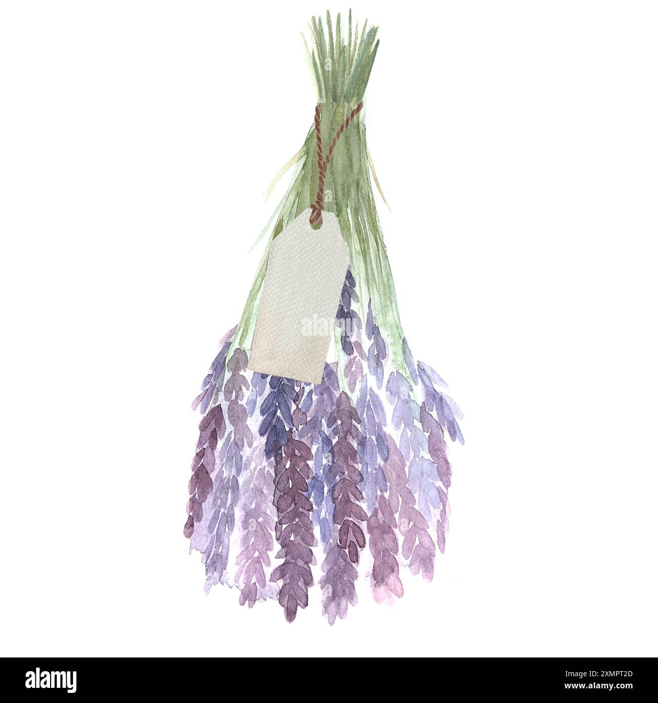 Bunch of lavender tied with a string with a name tag isolated on white ...