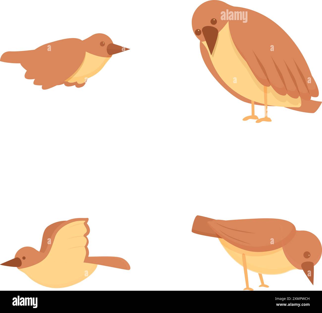 Happy birdwatching Stock Vector Images - Alamy
