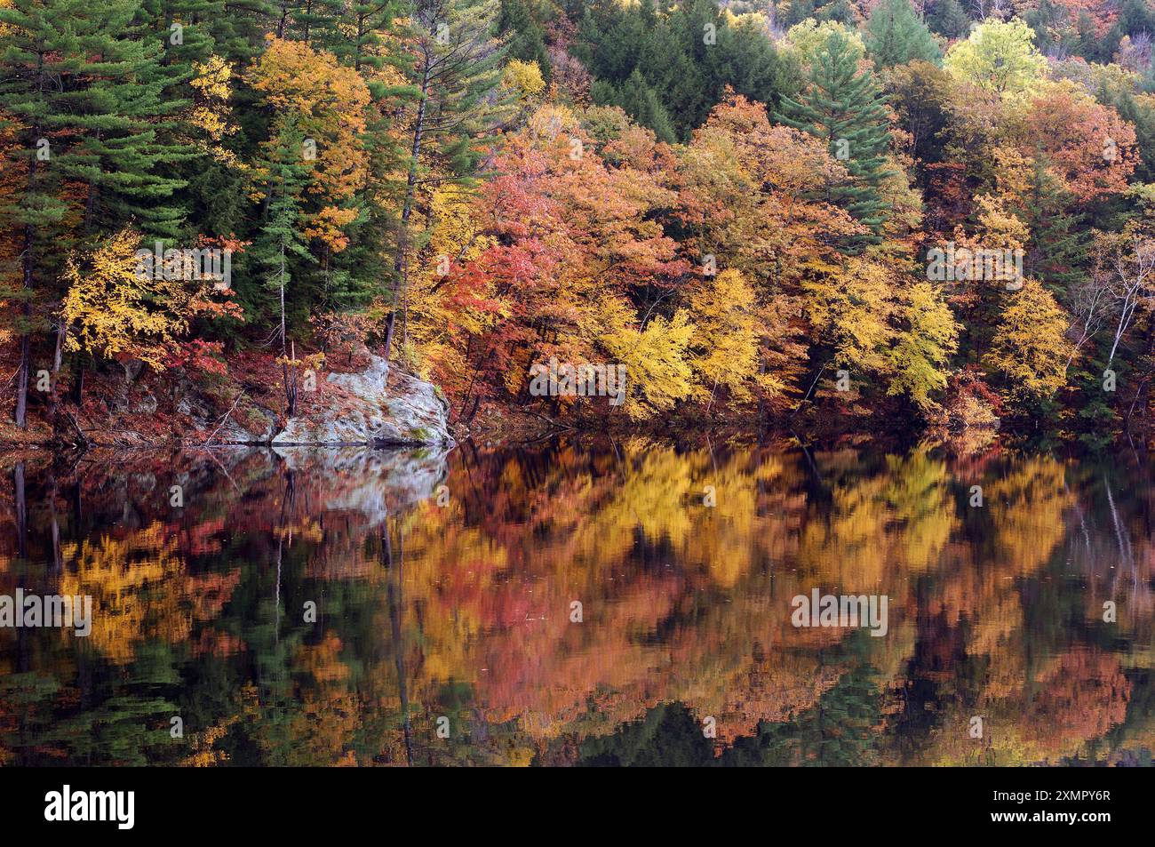 Reflection, Echo Lake near Ludlow, Indian Summer, Vermont, USA Stock ...