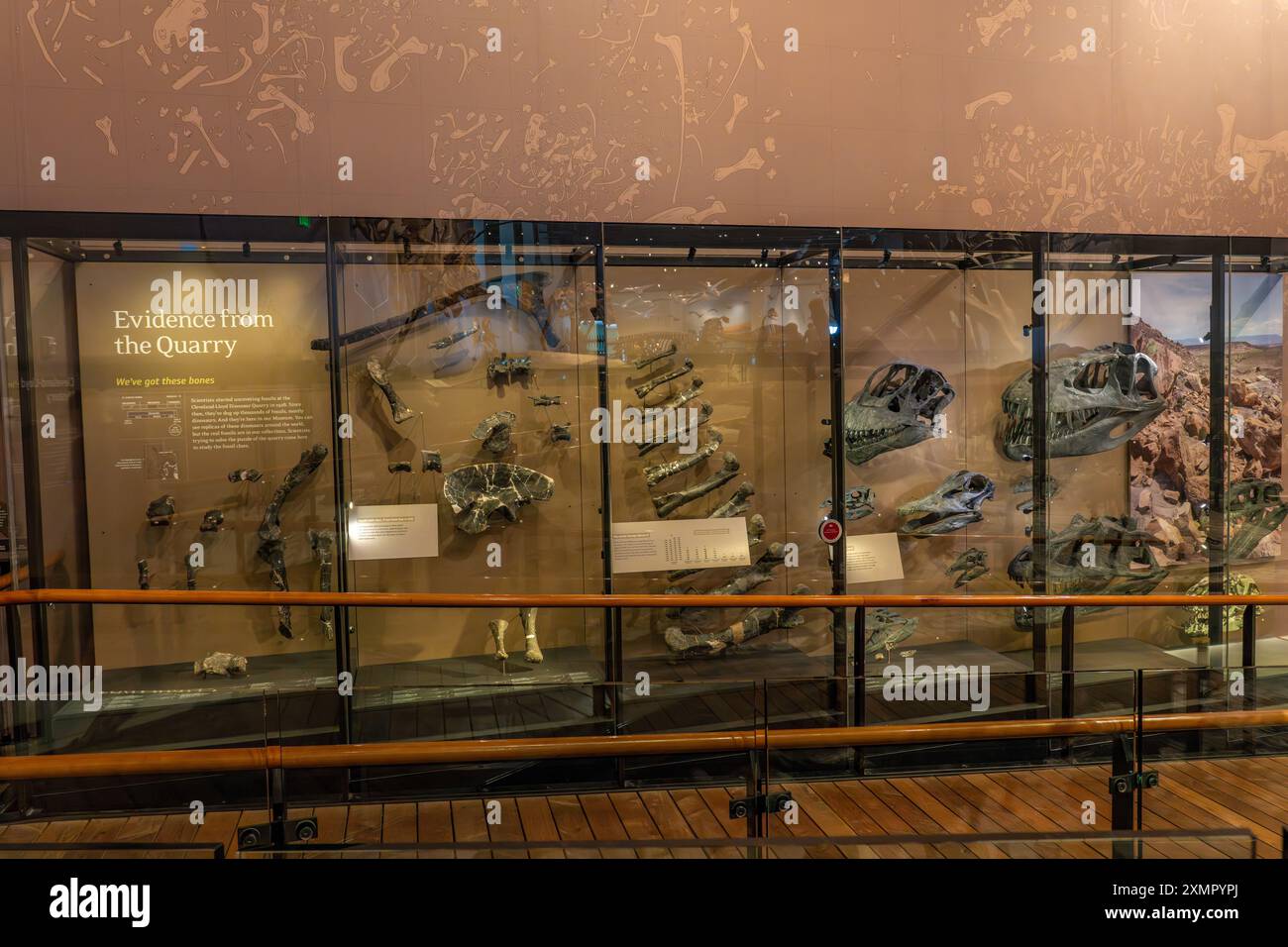 Cleveland lloyd dinosaur quarry hi-res stock photography and images - Alamy