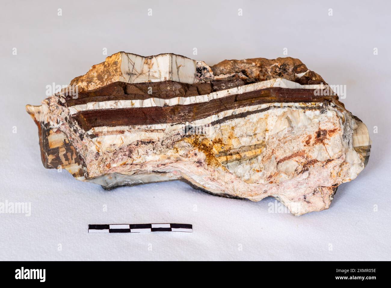 A sample of banded iron formation from the Barberton Greenstone belt ...