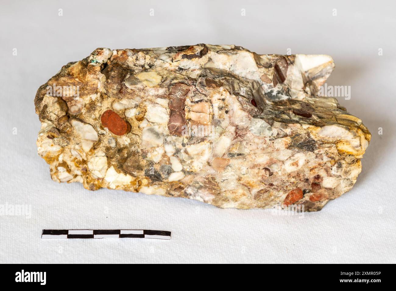 A chert conglomerate from the Fig Tree Formation of the Barberton ...