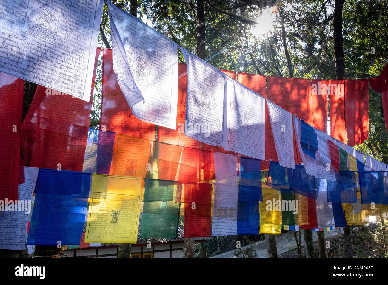 Rising sun lights fluttering prayer flags at Enchey Monastery, Gantok ...
