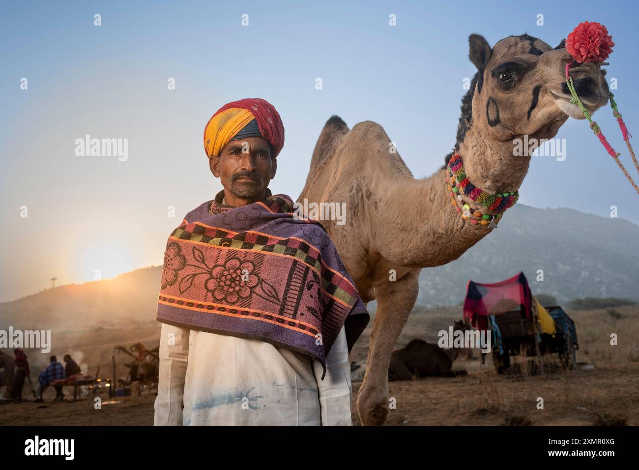 Man in traditional dress with his camel at sunrise attends Pushkar ...