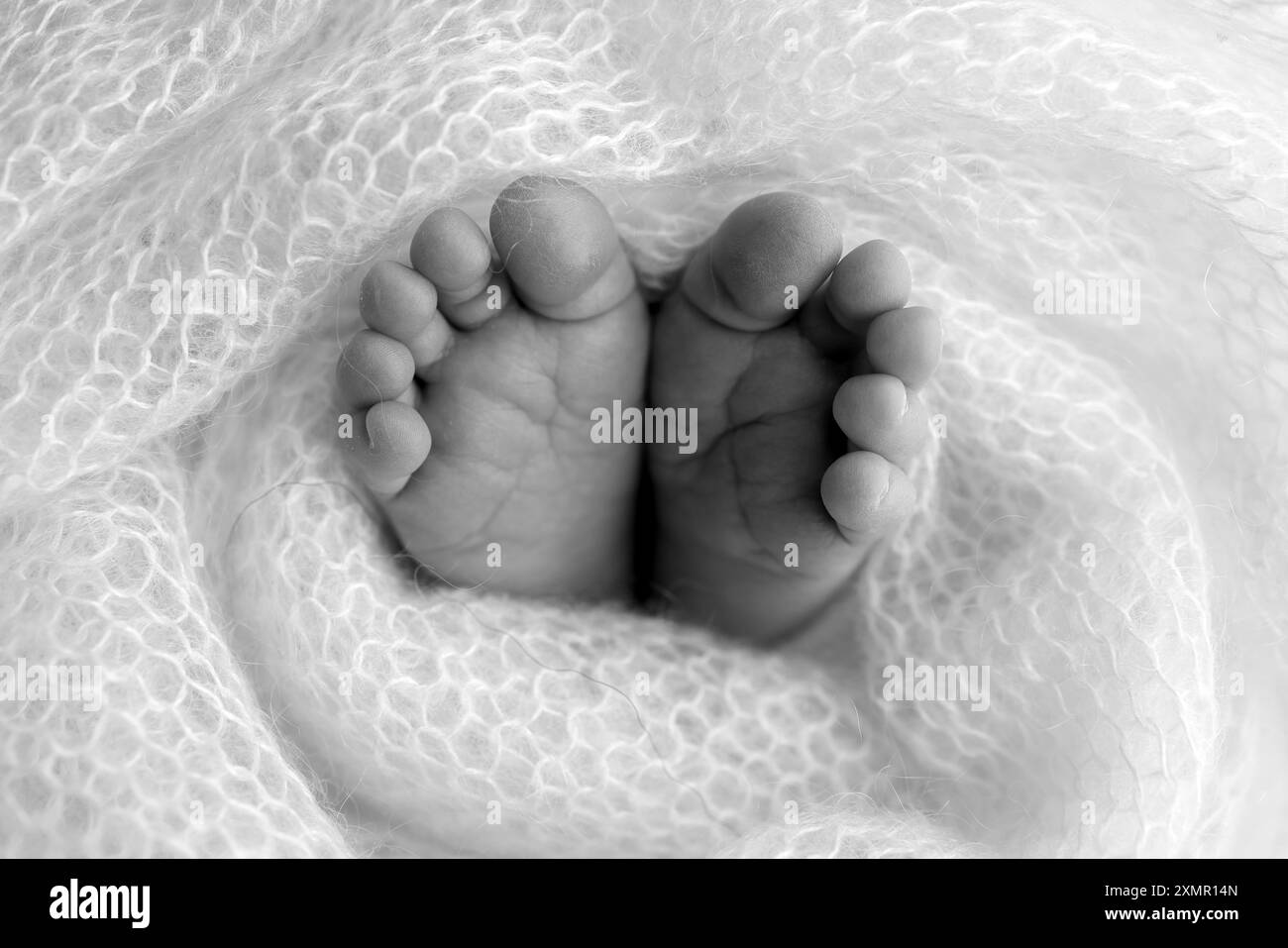 Foot of a newborn. Close up feet, toes, heels, feet of a newborn baby ...