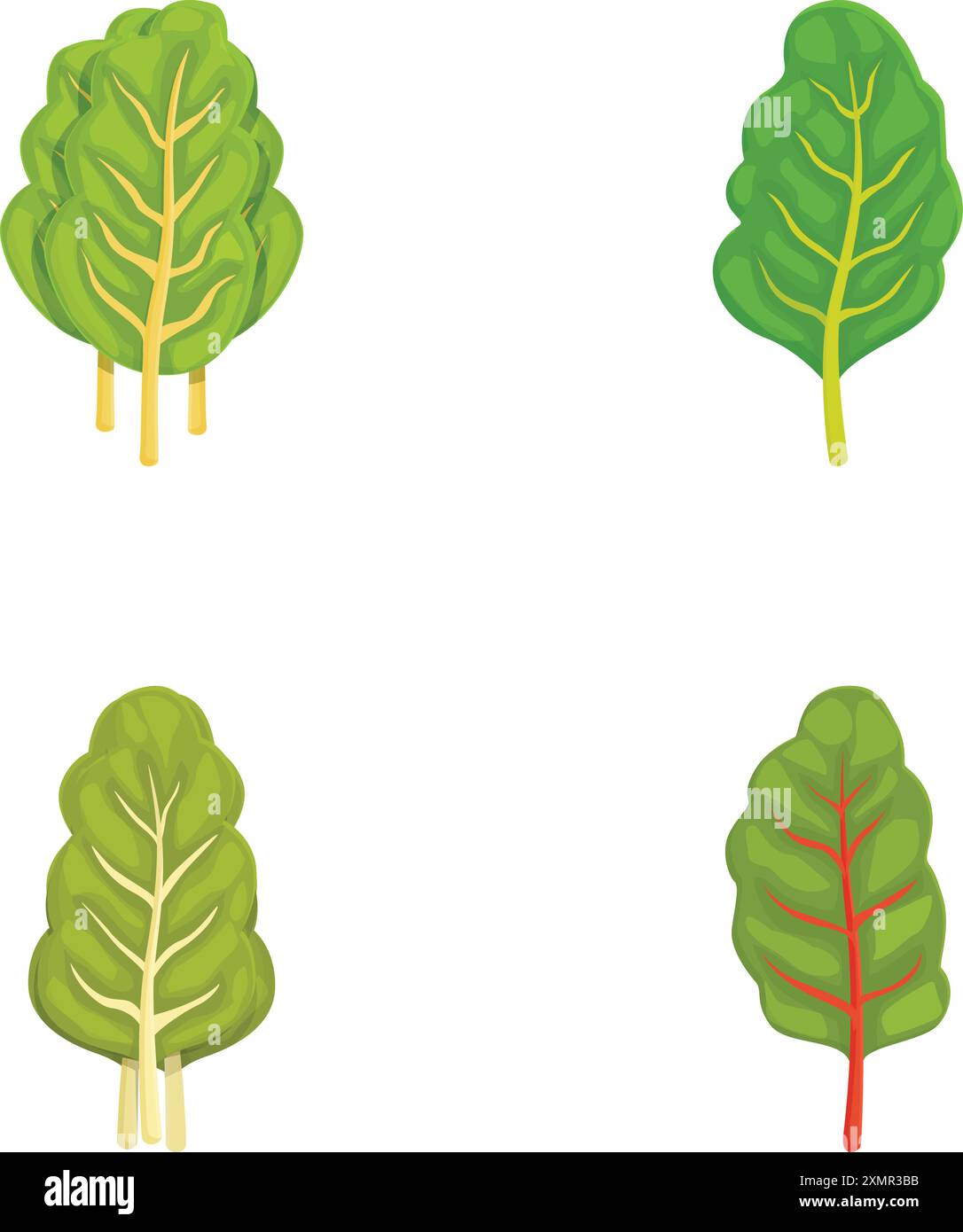 Illustration of four cartoonstyle green leafy vegetables on white ...