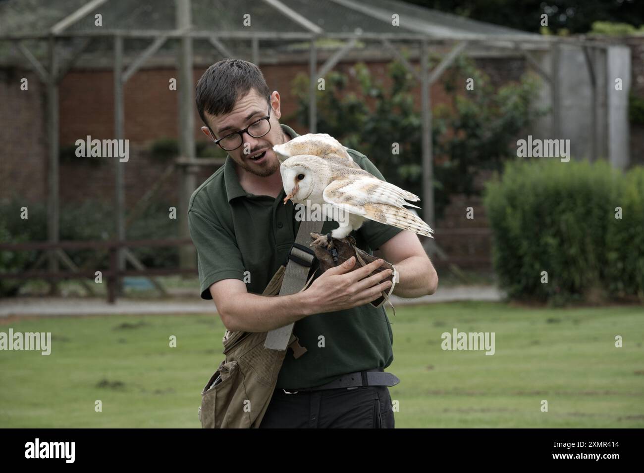 A Common Barn Owl perched on it's handler during a display at Thorp ...