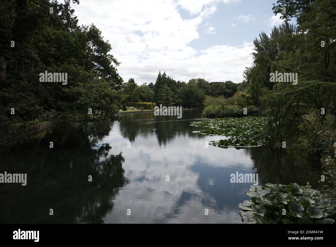 A calm lake at Thorp Perrow Arboretum Stock Photo - Alamy