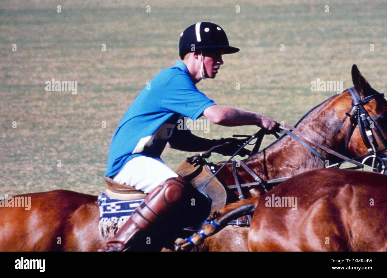 Cavallo di famiglia hi-res stock photography and images - Alamy