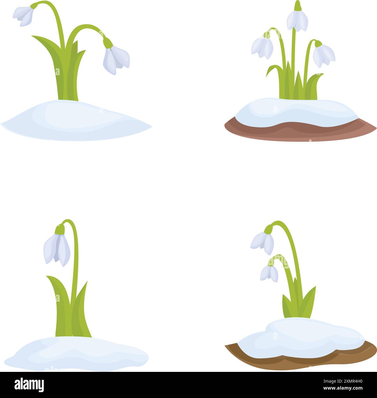 Illustrations of snowdrop flowers signaling spring's arrival, with ...