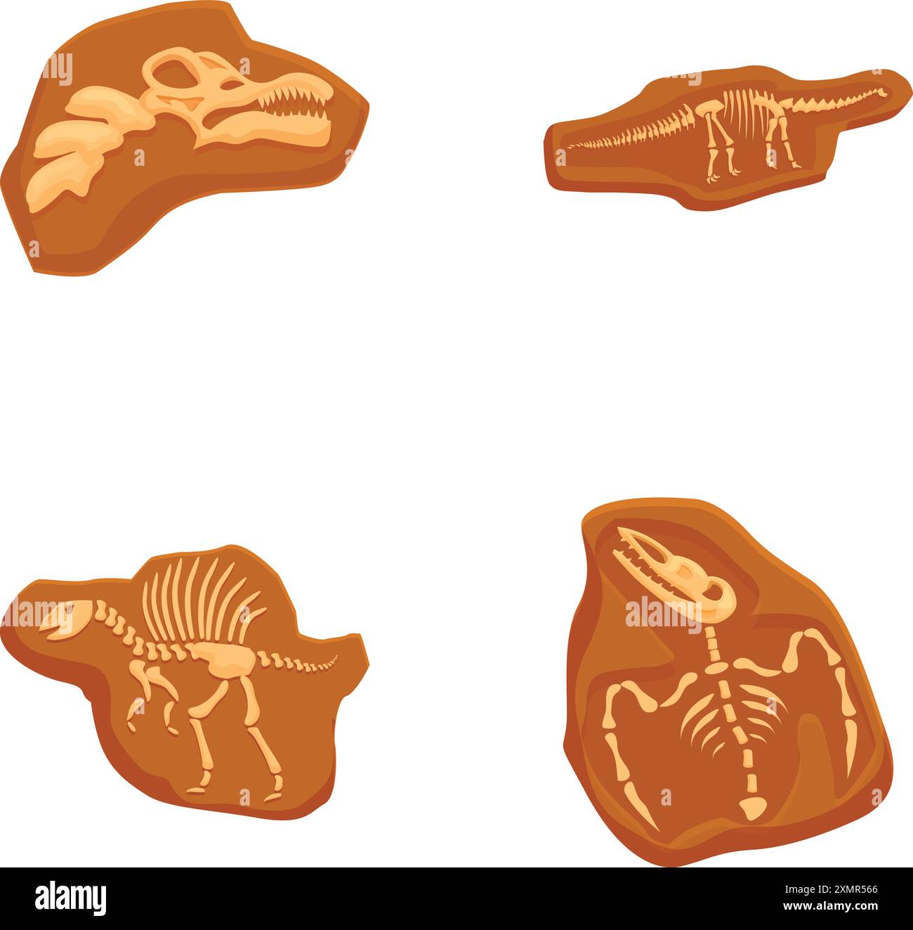 Fossils exhibits Cut Out Stock Images & Pictures - Alamy