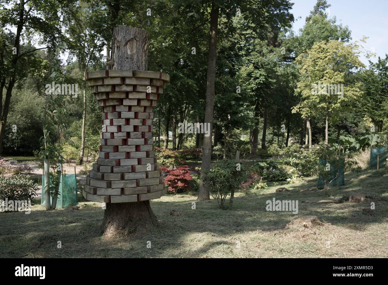 A tree stump covered in wooden blocks at The Himalayan Garden ...