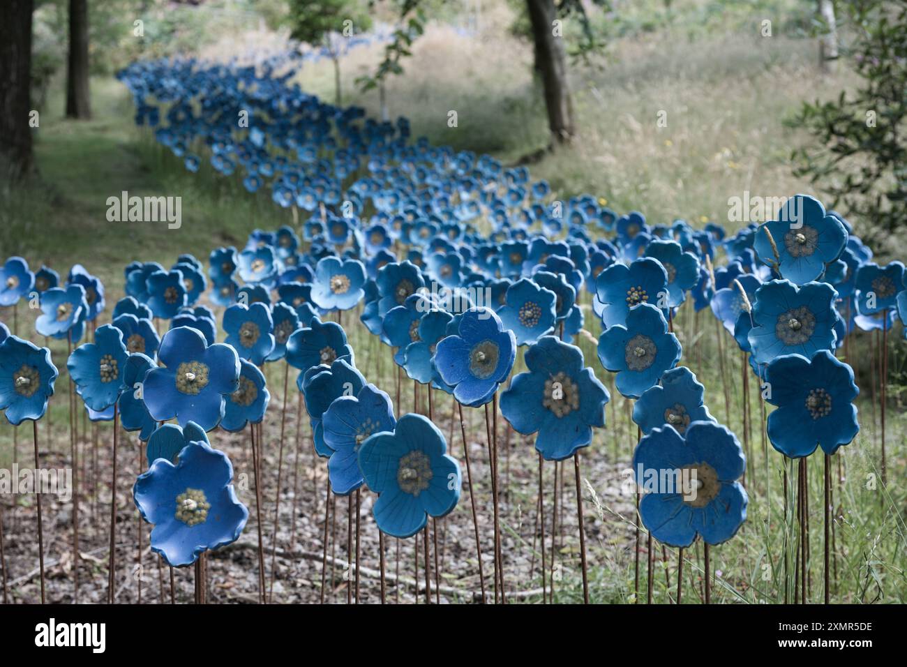 Ceramic Sculptures of Himalayan Blue Poppies by Artist Anna Whitehouse ...
