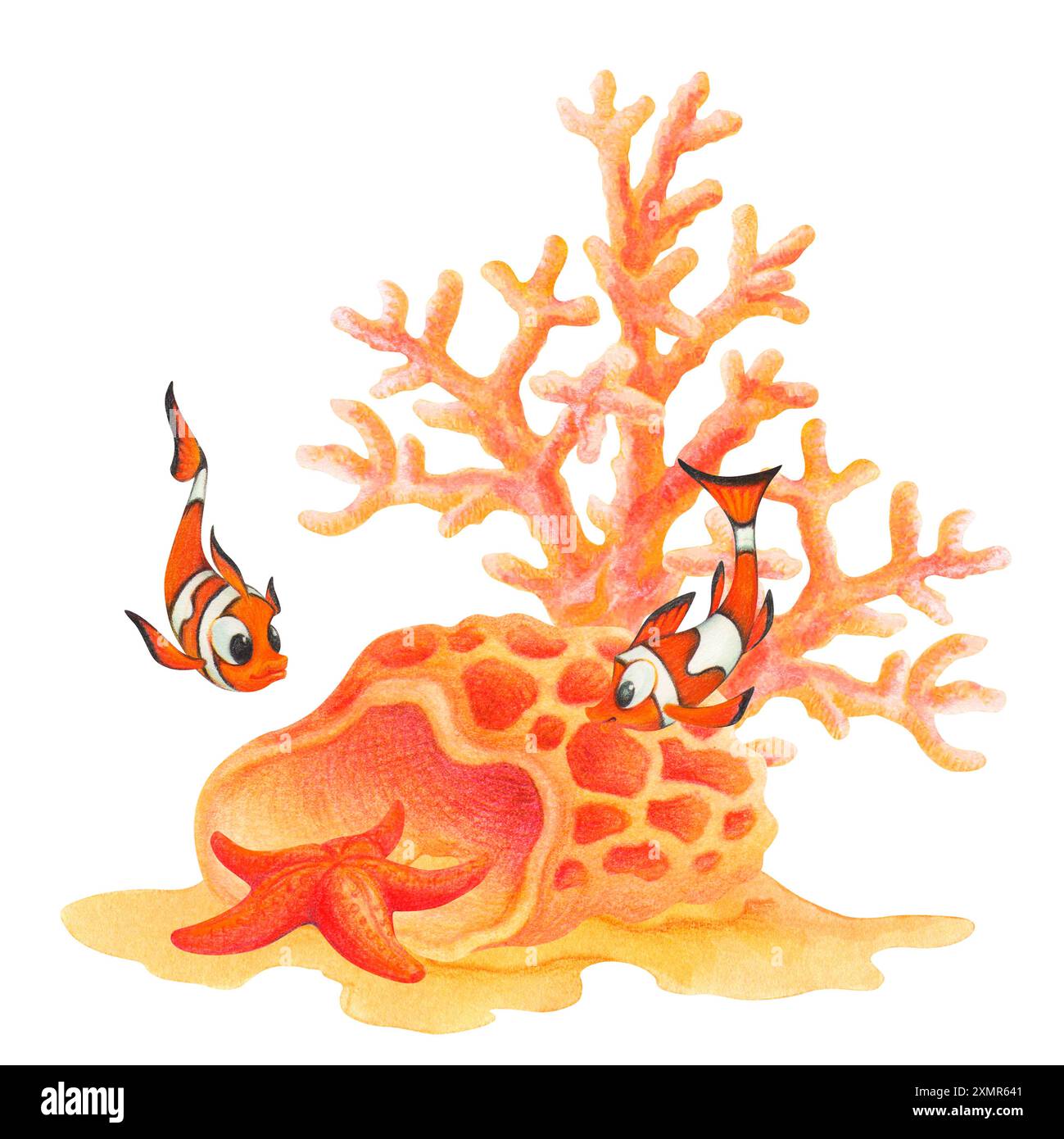 Clown fish, starfish and corals on a seabed. Marine animal life ...