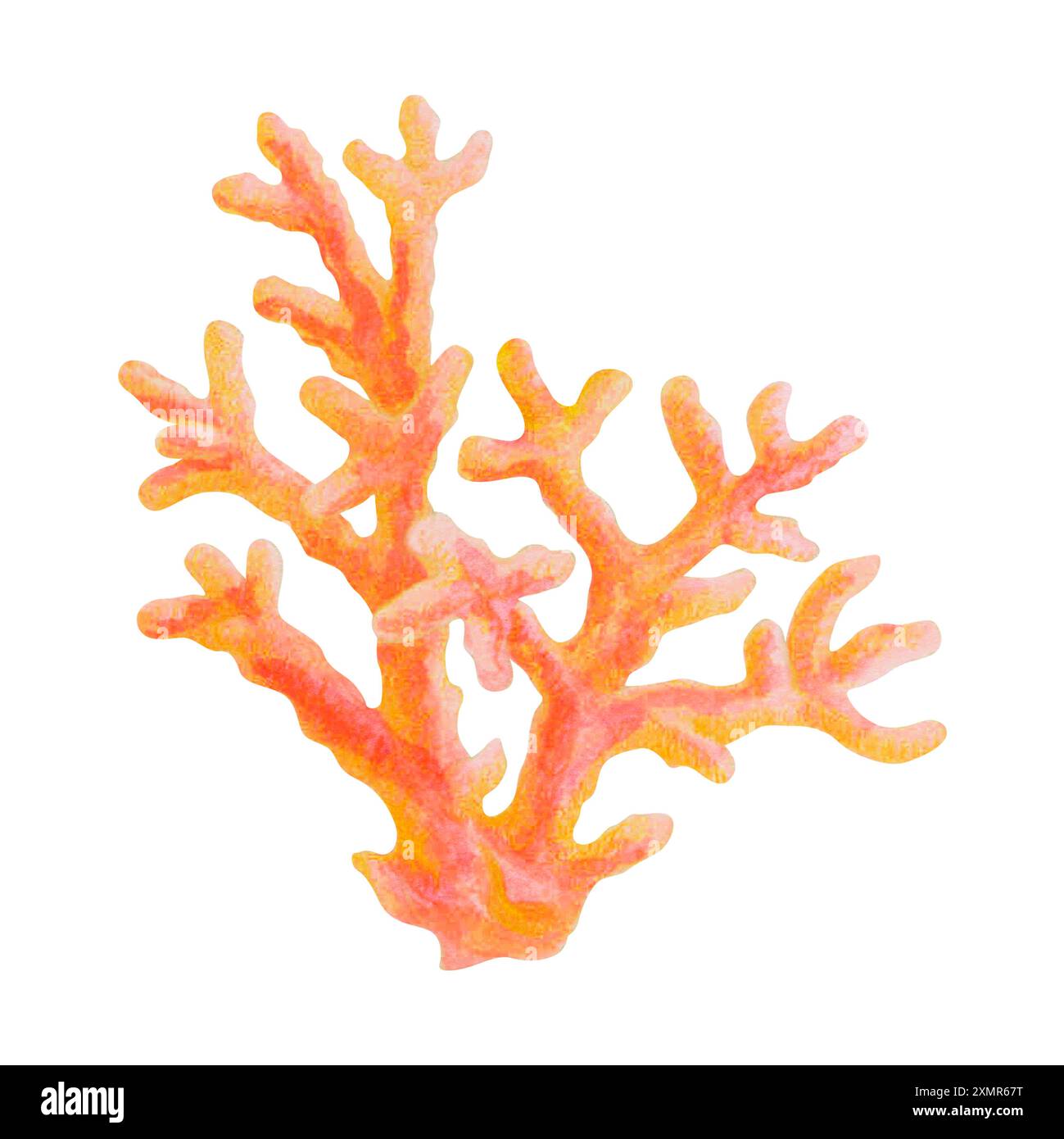 Watercolor illustration of red coral. Underwater world isolated object ...