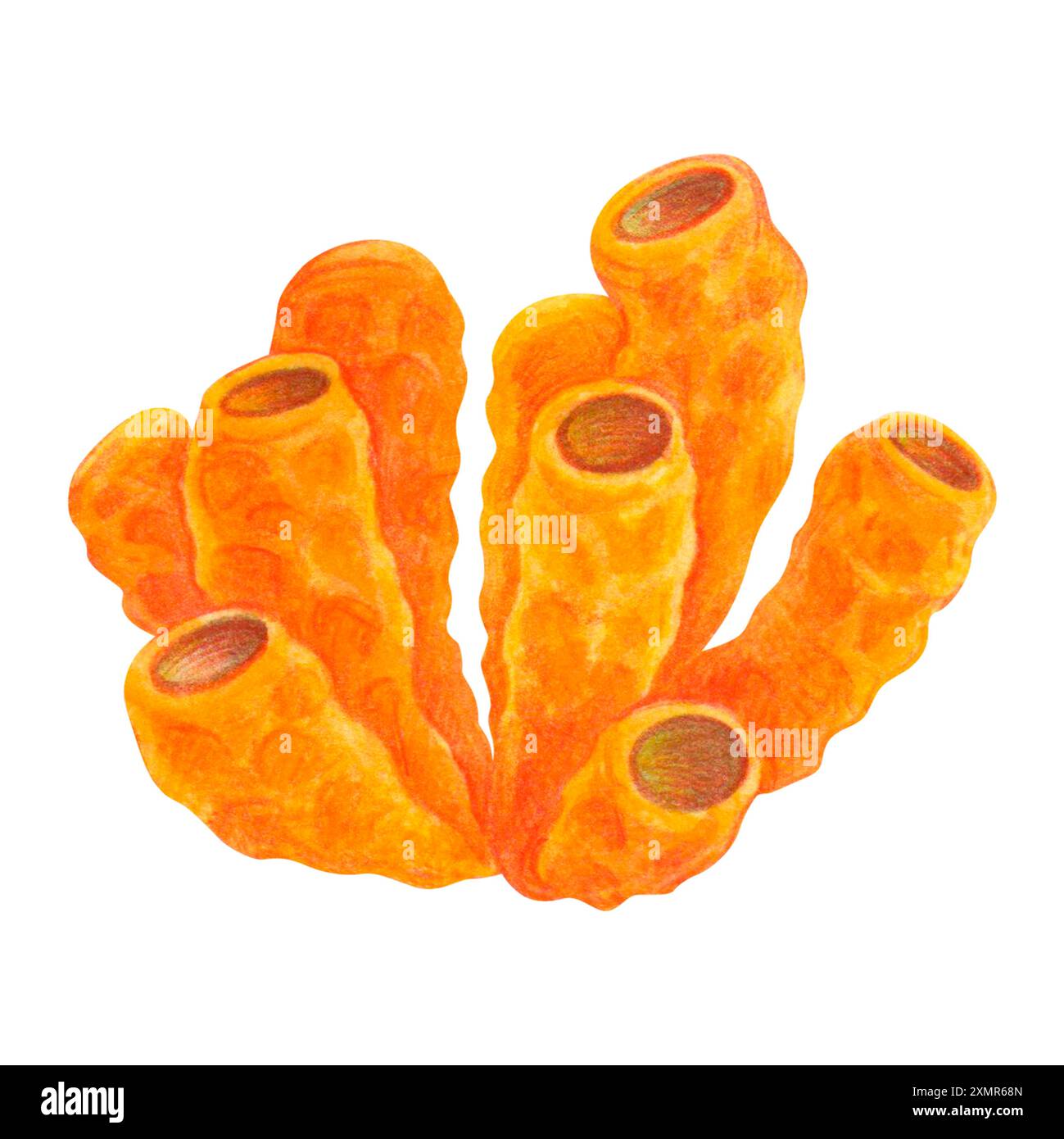 Watercolor illustration of yellow coral. Underwater world isolated ...