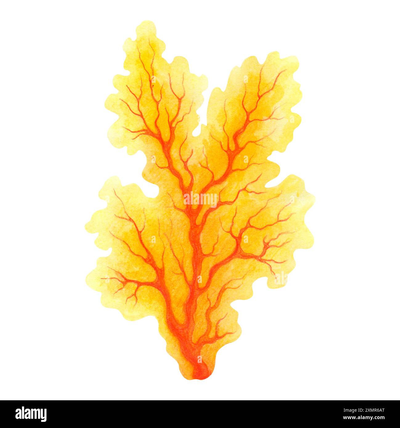 Watercolor illustration of a yellow coral or seaweed. Underwater world ...