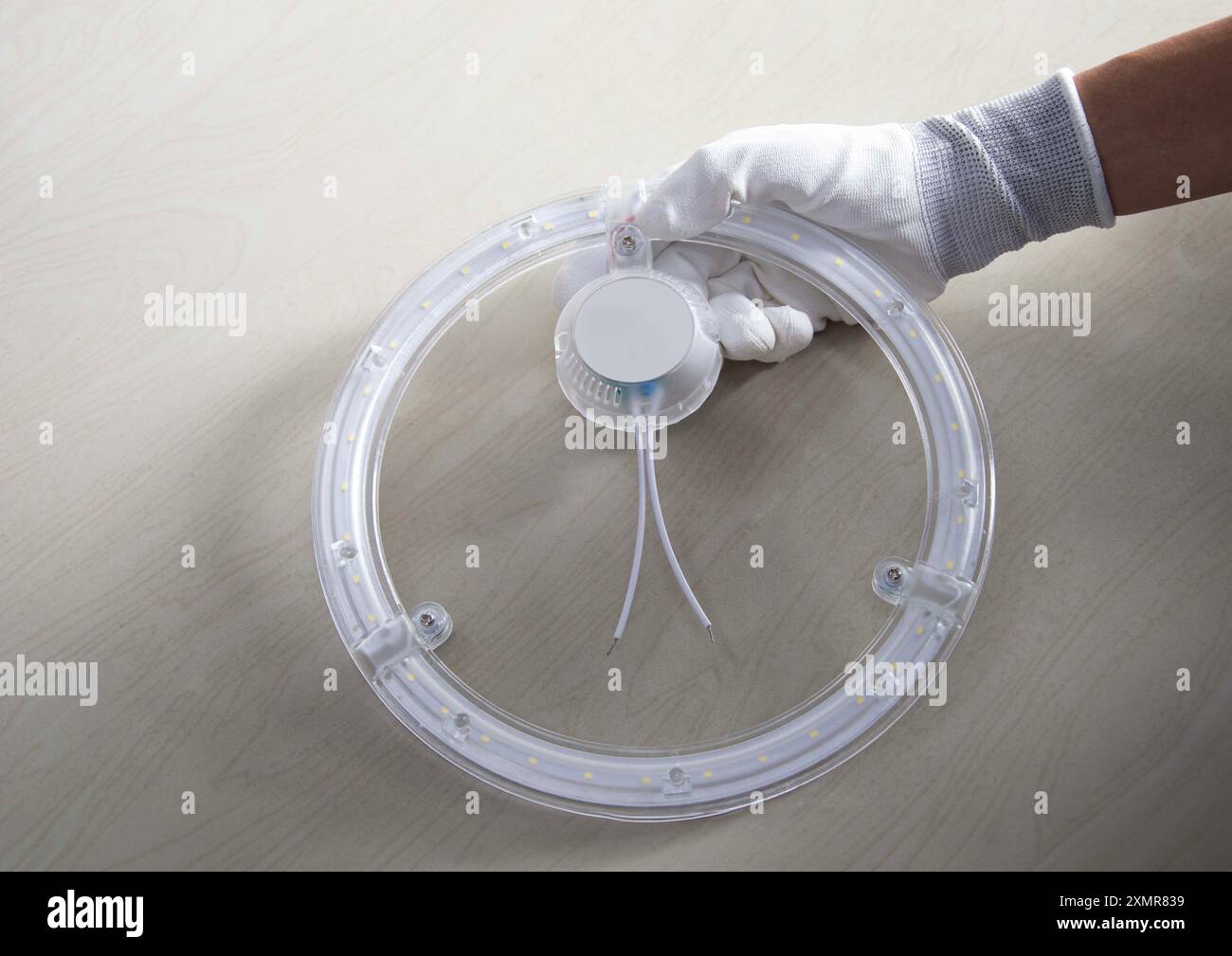 Round shaped bush hi-res stock photography and images - Alamy