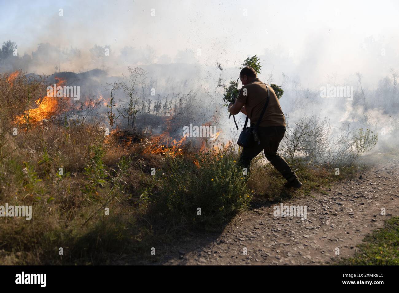 ODESSA, UKRAINE - July 24 2024: Forest, steppe fire completely destroy ...